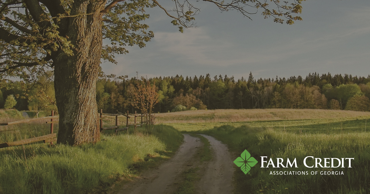 Georgia Farm Credit Locations | Georgia Farm Credit